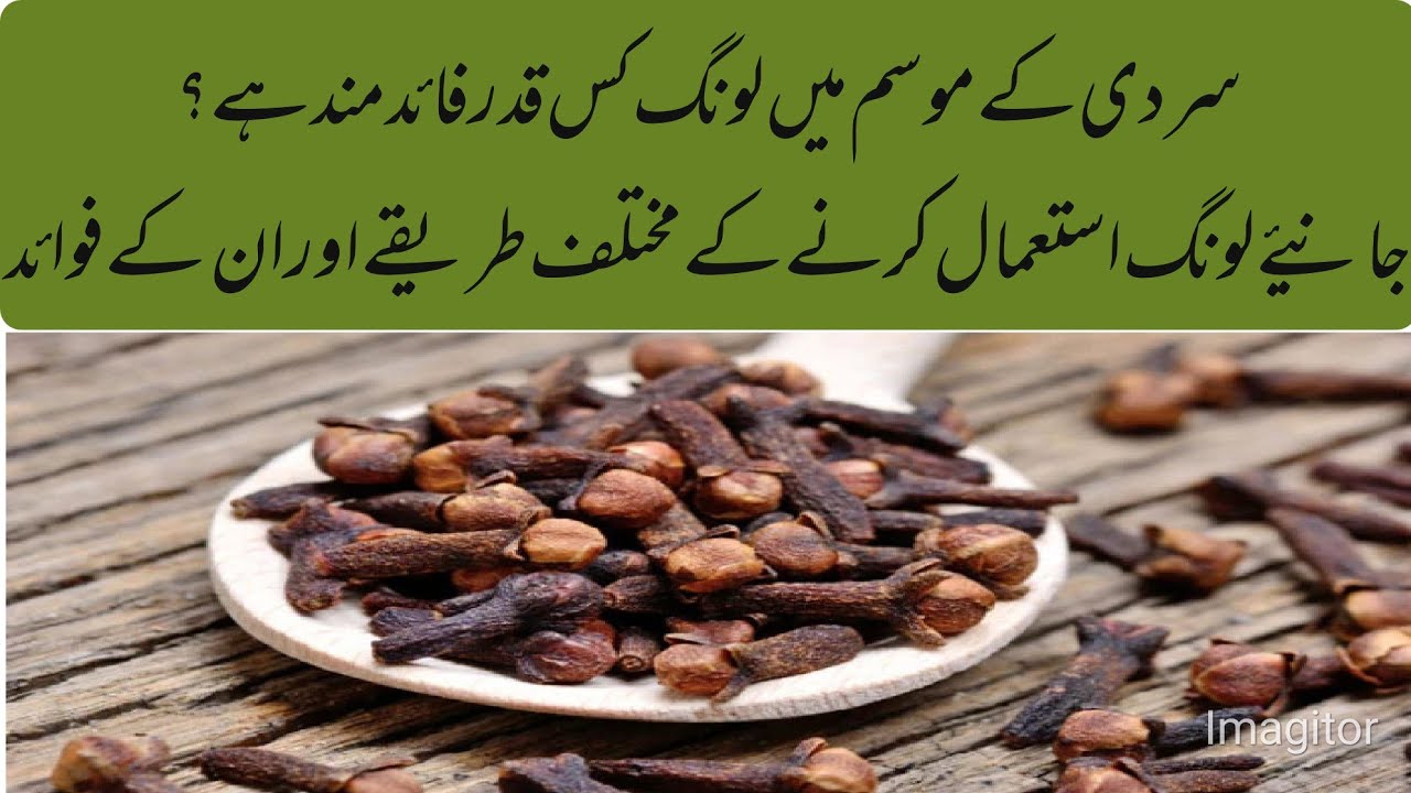 Long k faiday aur istamal | Cloves Benefit | لونگ کے فائدےاور استعمال ...