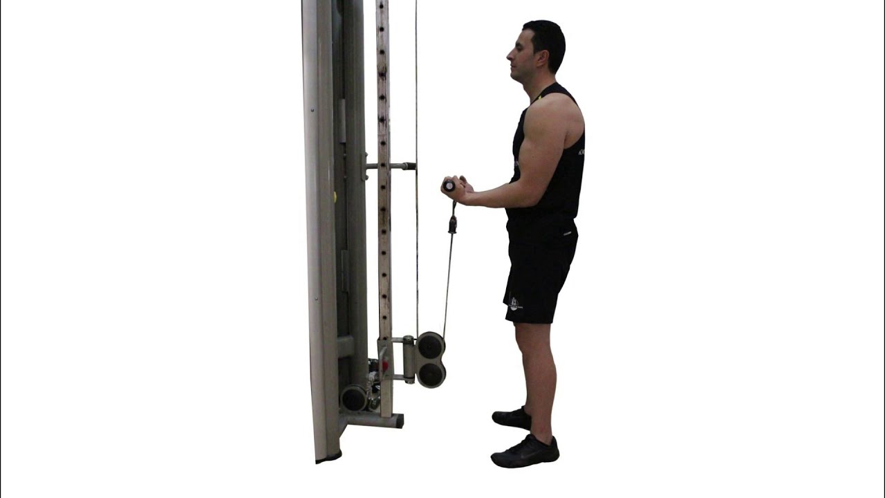 Standing Cable Wrist Curl, Underhand Grip, Bar Attachment - KNOW-HOW ...