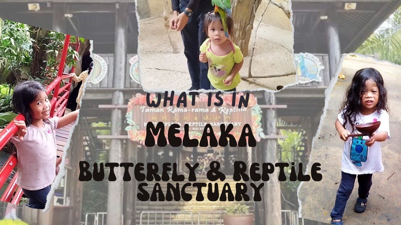 Up Close Encounter with Nature's Wonders @ Melaka Butterfly & Reptile ...