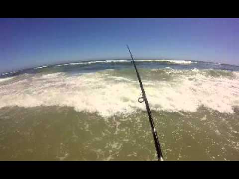 Brigantine Surf Fishing 2015 - YouTube