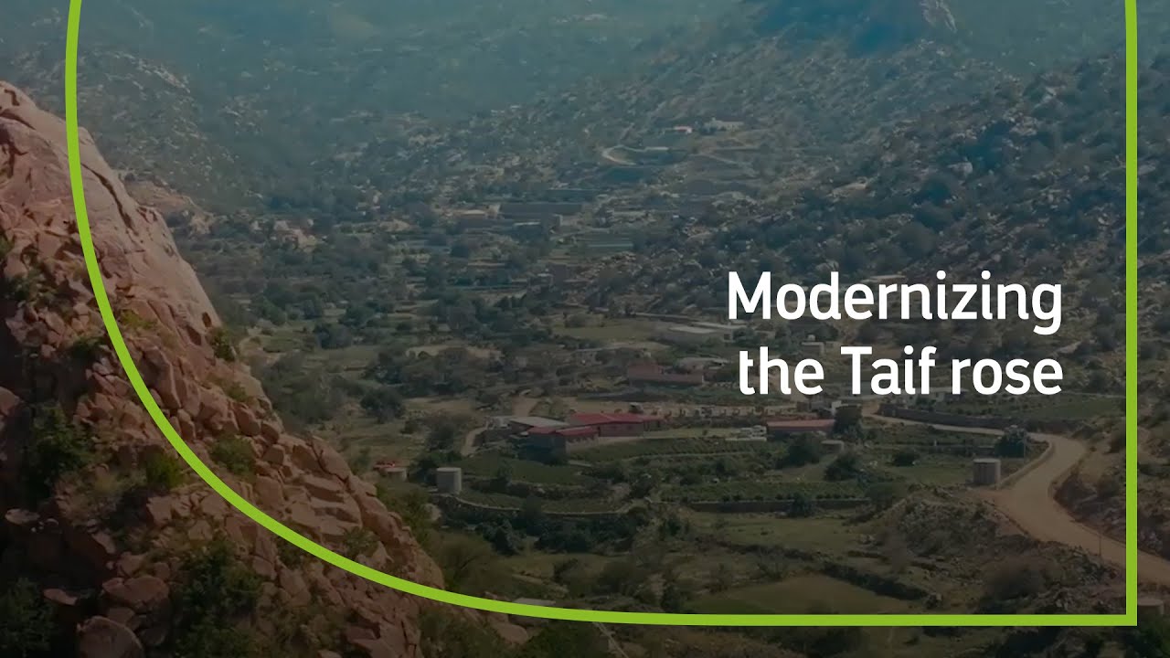 How Do We Make Use of Natural Resources to Promote Local Citizenship ...