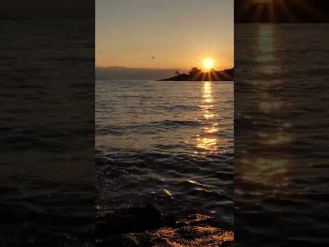 Ahmet TELLİ  - Unutma Dostumsun