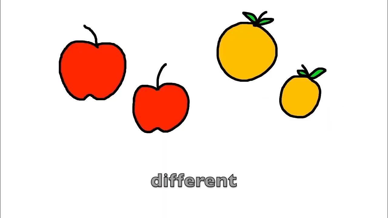 The Letter D Song - Rockin' English Lessons - YouTube