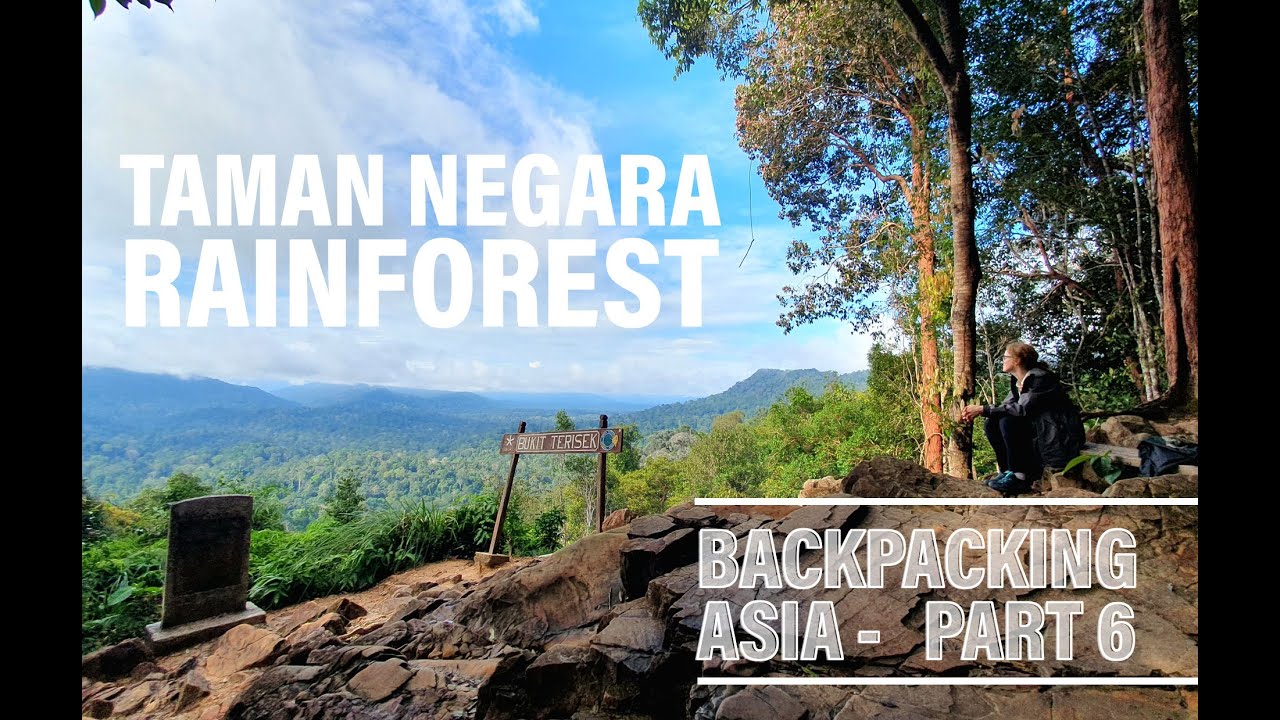 Backpacking Asia ep. 6 - Taman Negara Rain Forest, Malaysia - YouTube