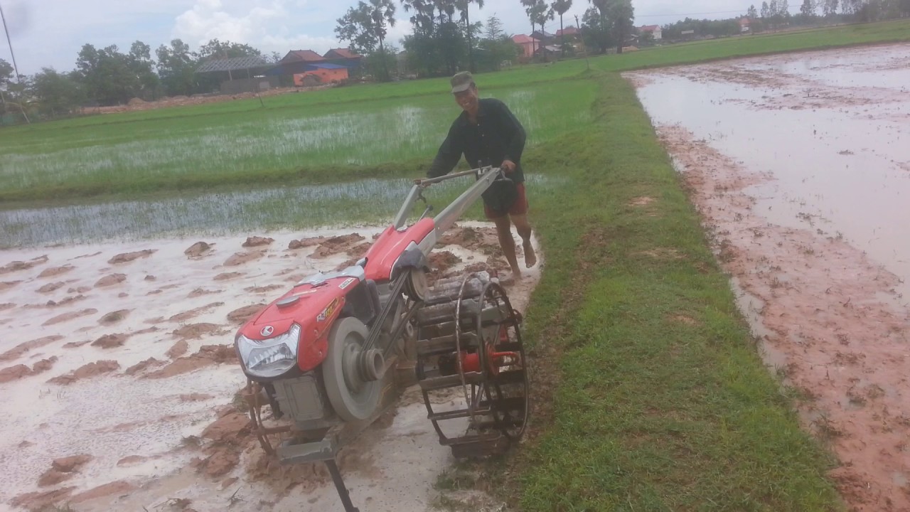 Farmer Plowing Ricefield, Farmer uses Kubota to plow rice field - YouTube