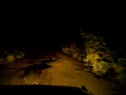 Ruta Punta Allen de noche - Punta Allen Route by night - YouTube
