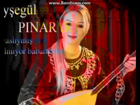 Ayşegül Pınar - Ellik