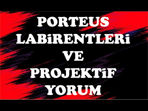 PORTEUS LABİRENTLERİ VE PROJEKTİF YORUM