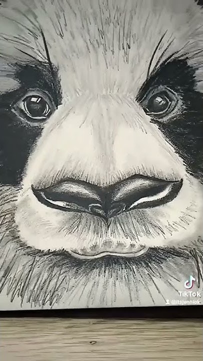 how to draw a realistic panda | by Jennifer Chelsea | art tutorials be ...
