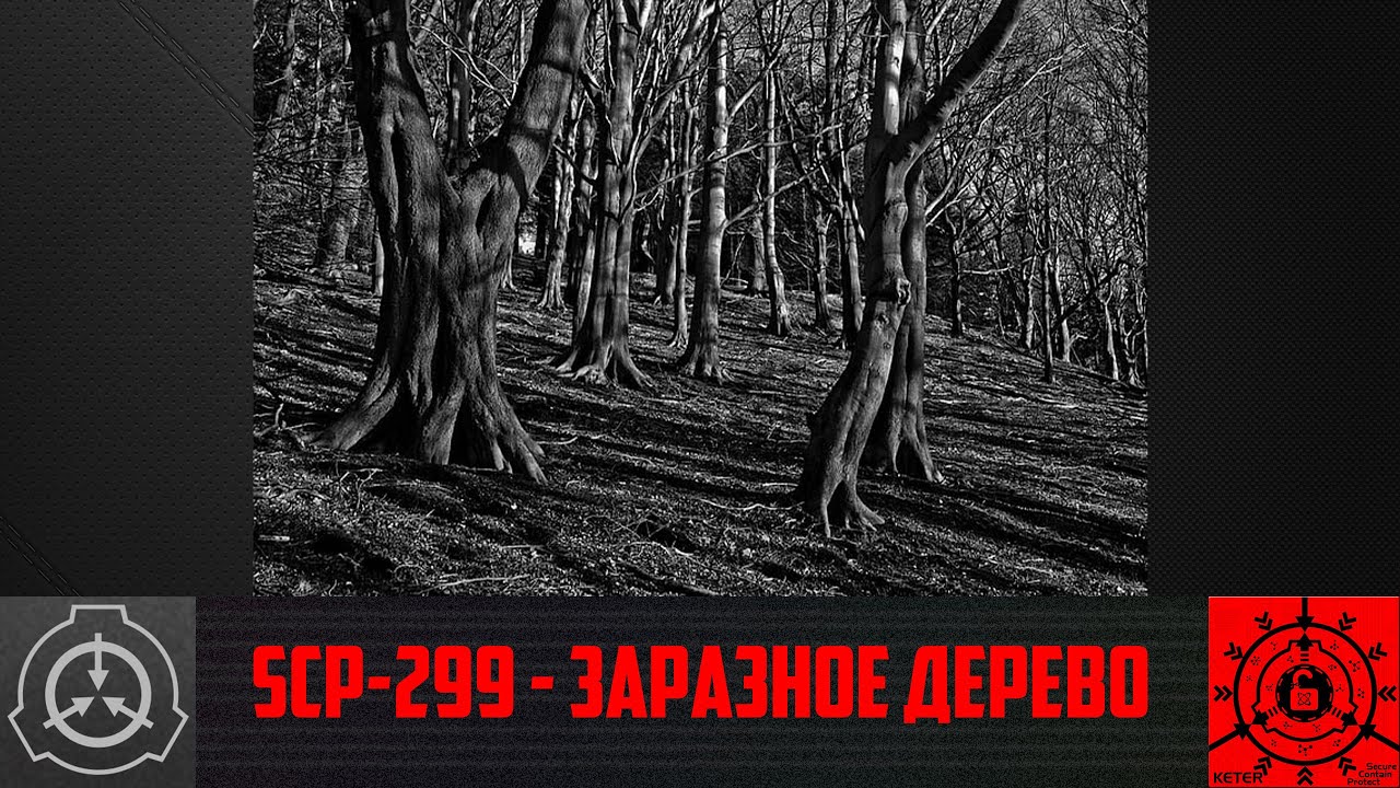 SCP-299 - Заразное дерево 【СТАРАЯ ОЗВУЧКА】 - YouTube