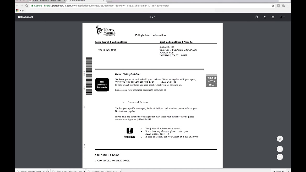 Tryton 24/7 - How to view accounts and download documents - YouTube