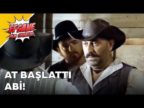 Atlara Fısıldayan Kovboy | Yahşi Batı - Efsane Sahneler
