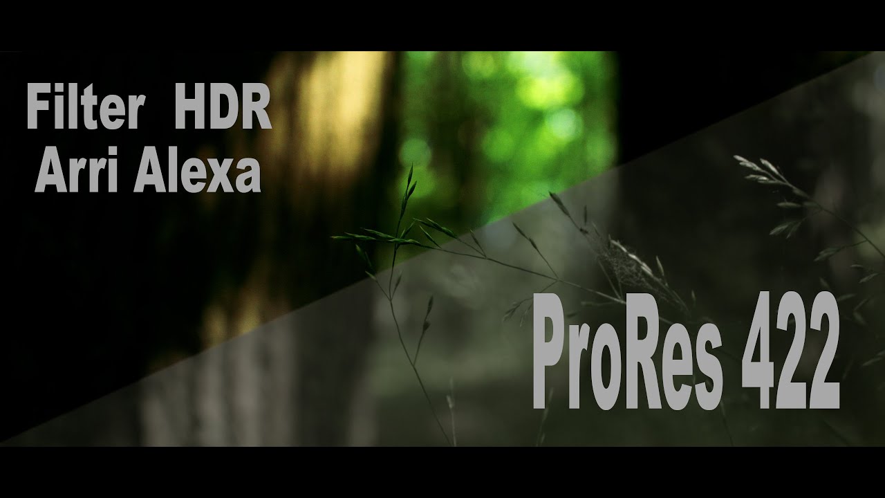 BMPCC OG BMPCC Original color in the video - YouTube