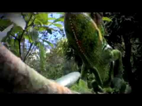 vida BBC Trailer (life)