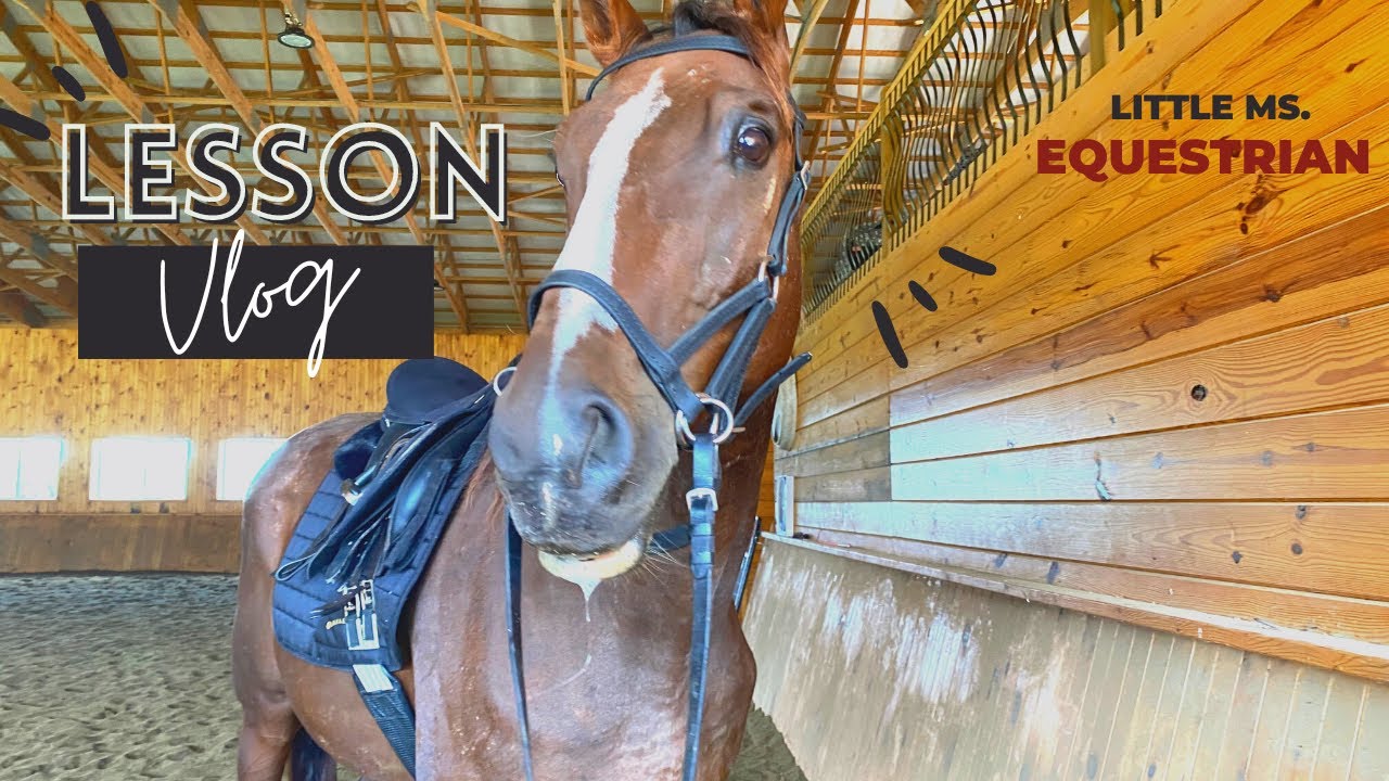 MY FIRST RIDING LESSON ON MY NEW HORSE - YouTube