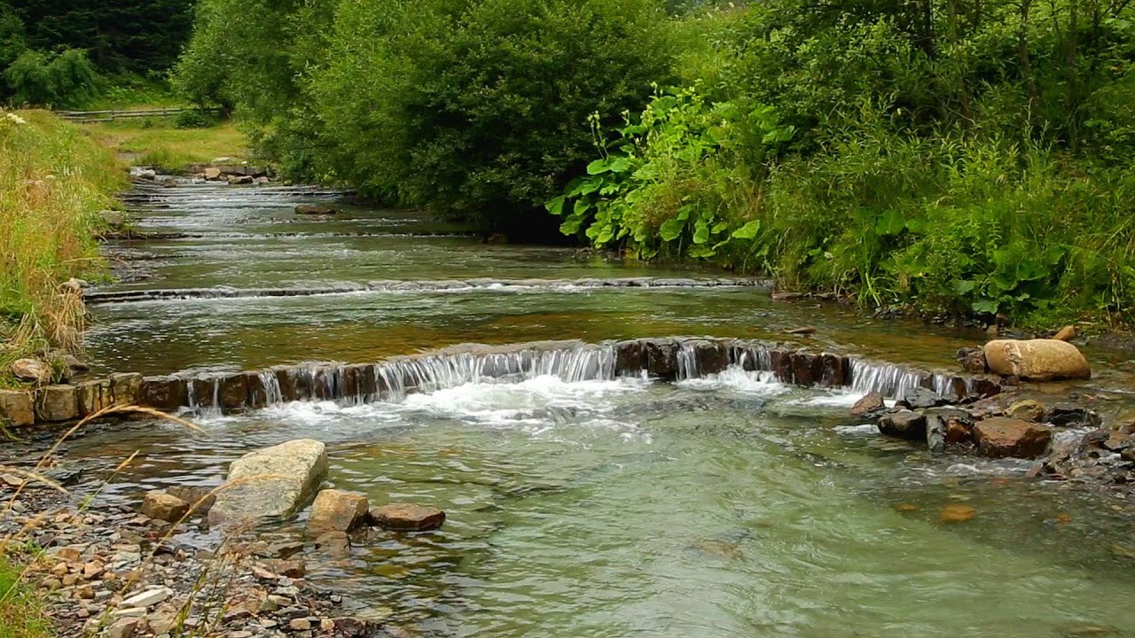 Relaxing River Sounds - Gentle River, Water Noise, Relax - Sustainable ...