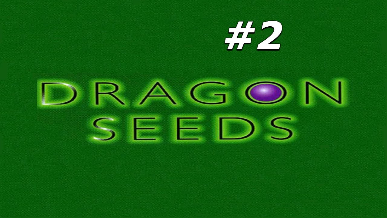 Dragon Seeds - E rank - 2 - YouTube