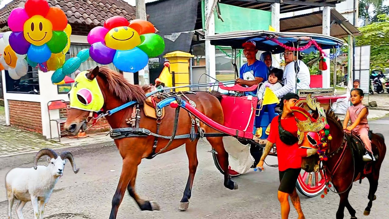 Kuda Balon Matahari Viral Naik Kuda Delman Purwokerto Kuda Dokar ...