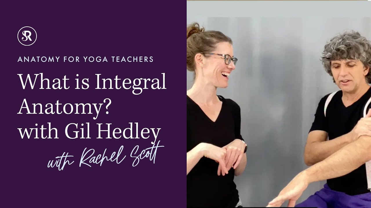 What is Integral Anatomy? Understanding The Whole Body Connection, with ...