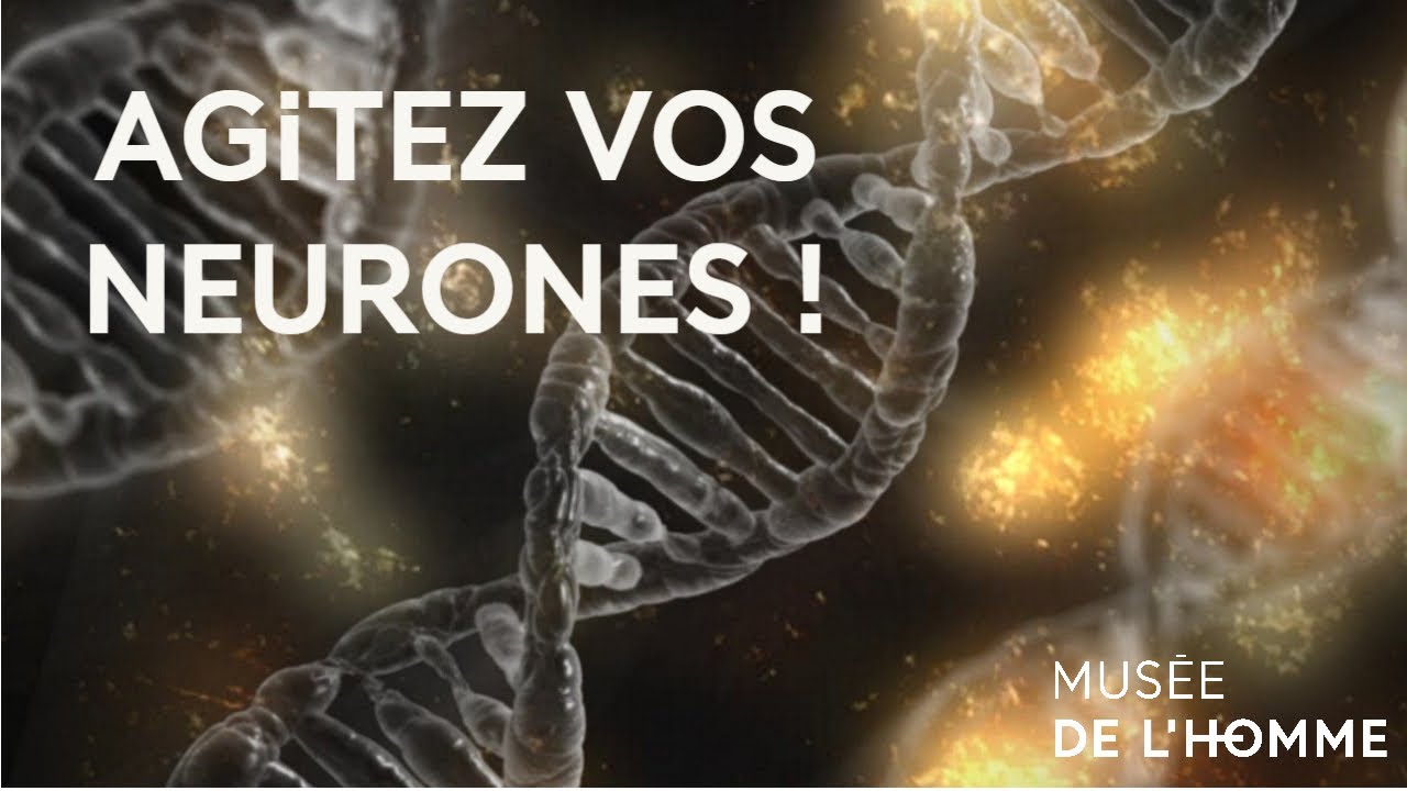 Manipulation génétique, un monde à la carte ? - YouTube