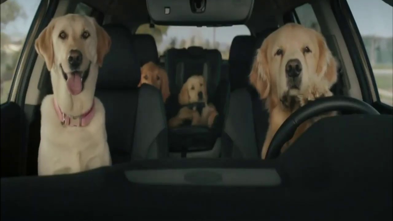 Subaru - National Make A Dog's Day - Rest Area - YouTube