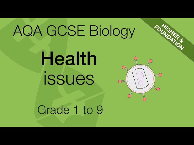 Gcse Biology Communicable Disease 26 Youtube What Is Synaptic