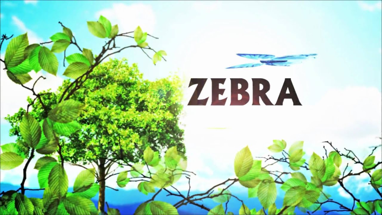 zebra tv ad - YouTube