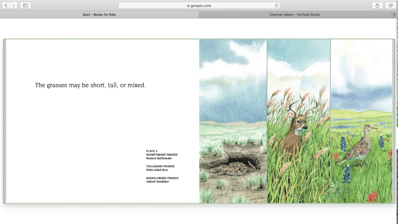 April 23, 2020 Read Aloud Grasslands by Cathryn Sill - YouTube