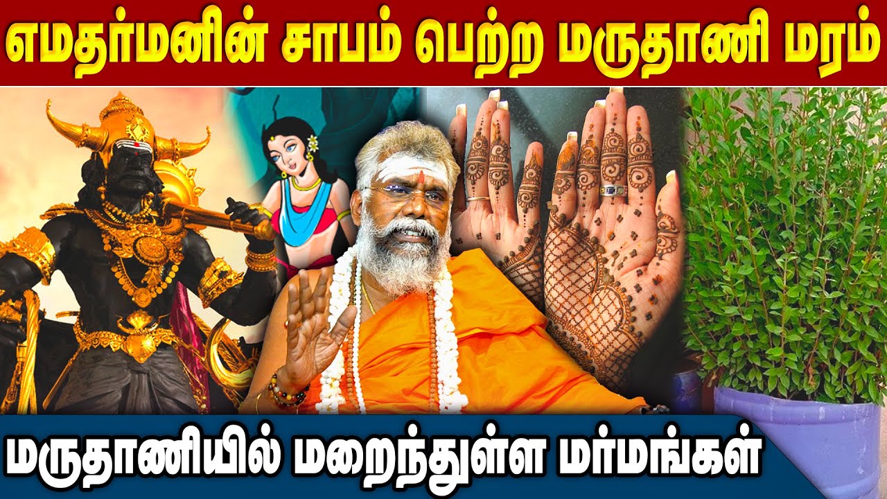 மர*த்தை தள்ளிப் போட உதவும் மருதாணி மரம் | Secrets of Maruthani Tree ...