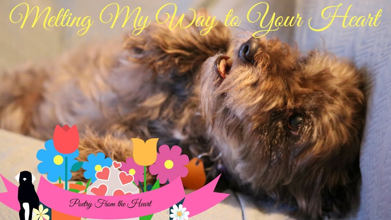 Dogs Acrostic 1 - YouTube