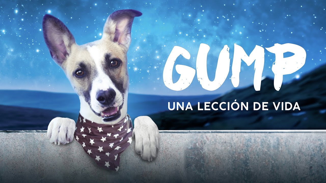 Gump - Una Lección de Vida (2021) Trailer Latino - YouTube