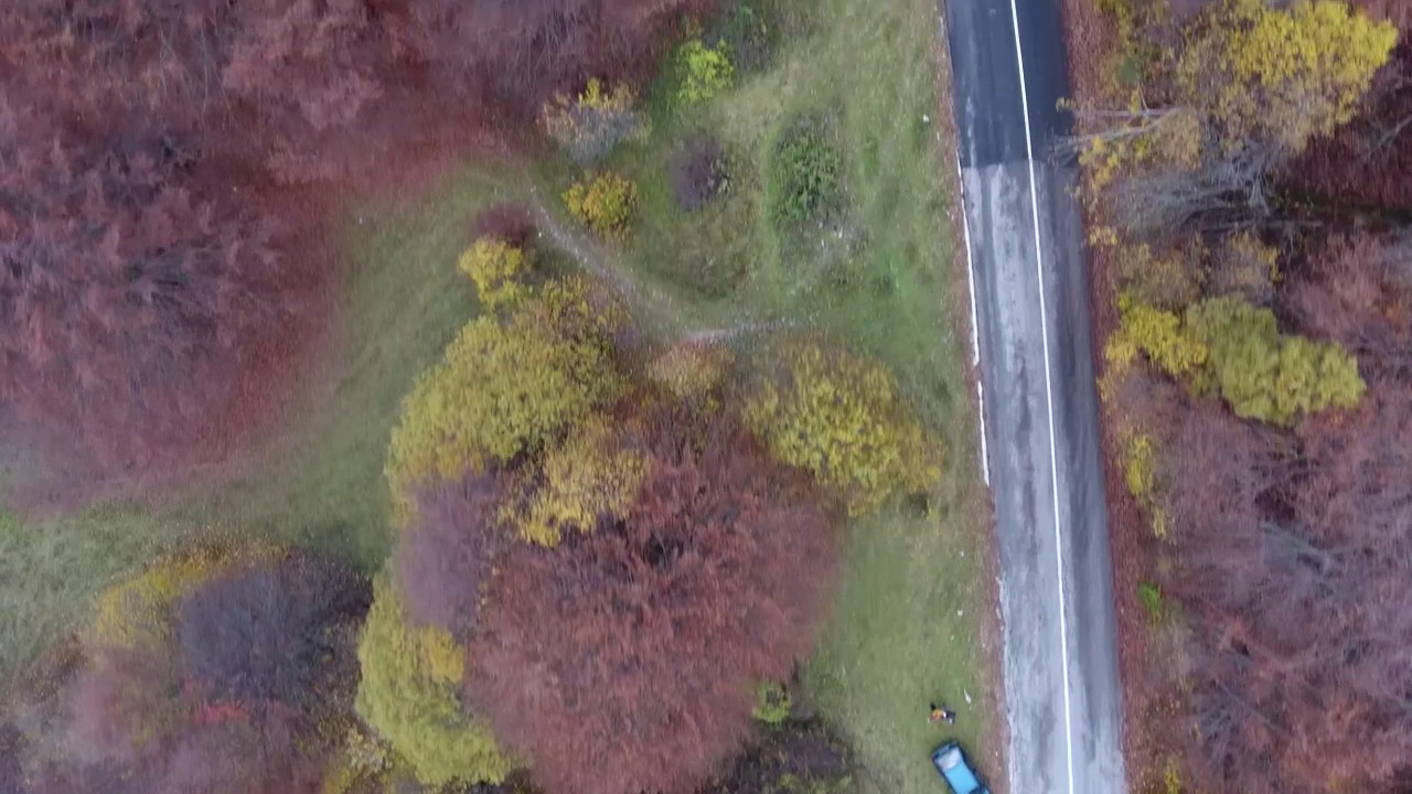 Mali Sharr - YouTube