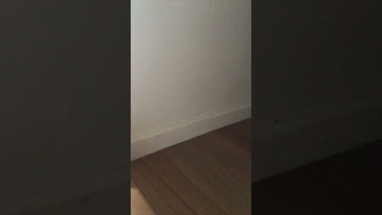 Sheesh battle season 2: round 7 - YouTube