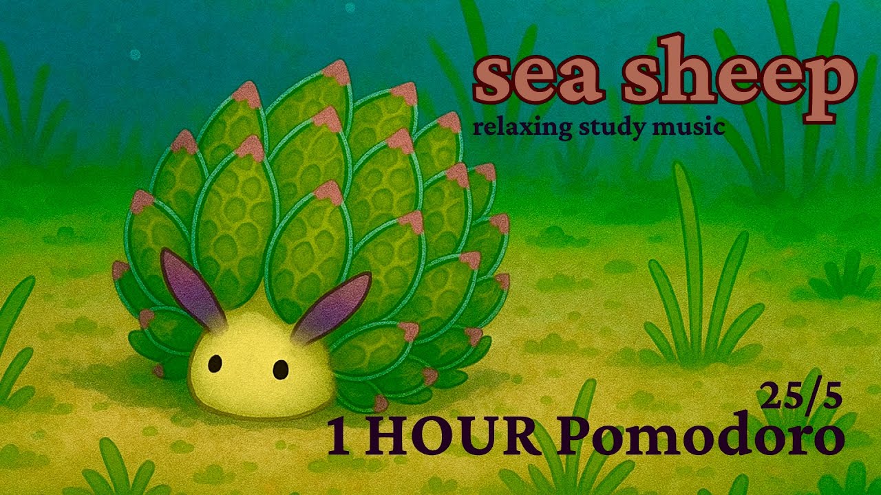 1 HOUR study with SEA SHEEP🐑🌊 | 25/5 pomodoro | cozy lofi music - YouTube
