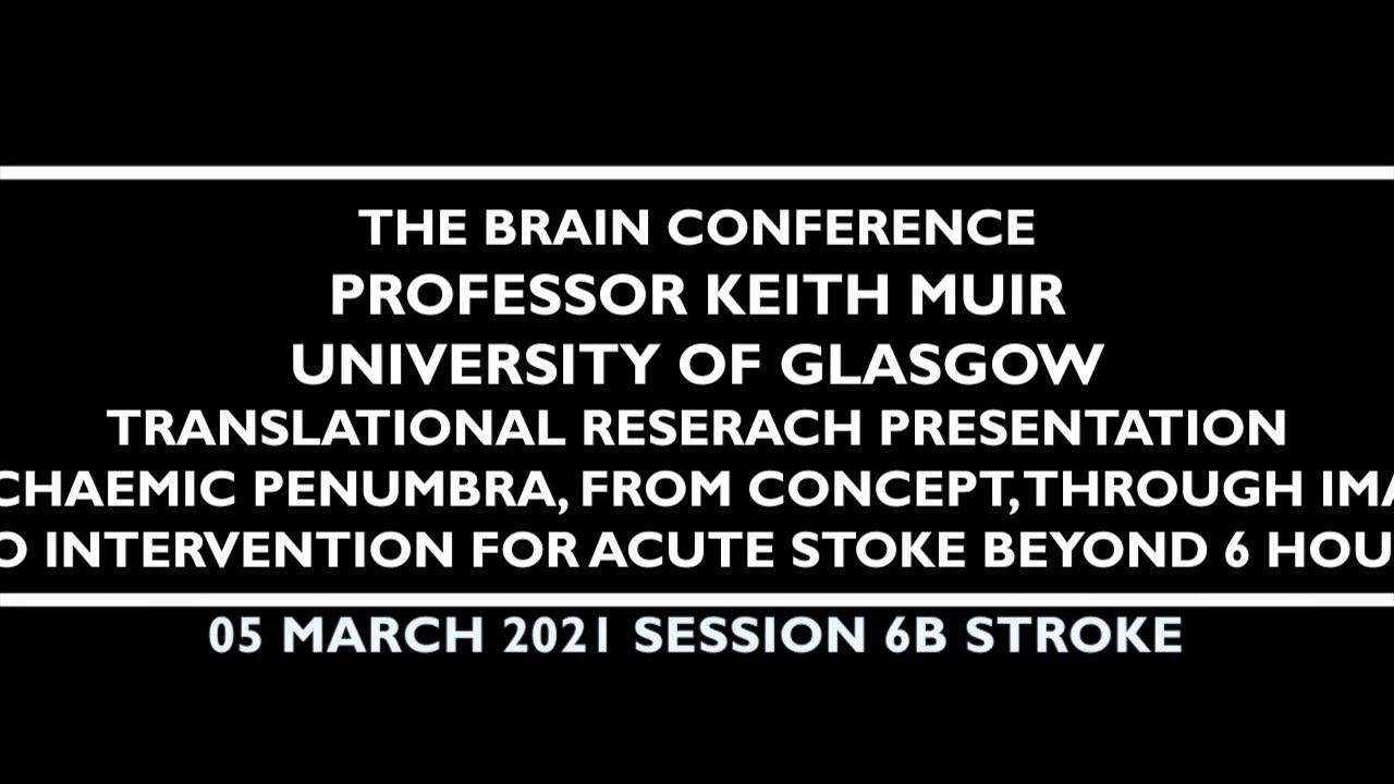 The Brain Conference 2021: Translational Research presentation: Keith ...