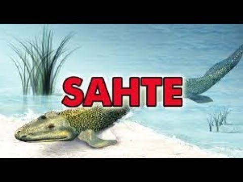 Balina karadan denize geçmiş midir?