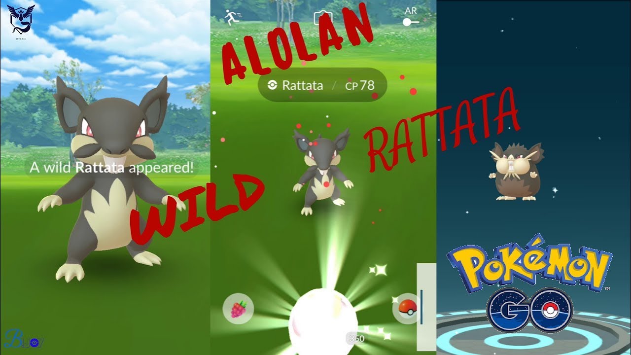 Wild Alolan Rattata in Pokémon Go | Evolving Alolan Rattata to Alolan ...