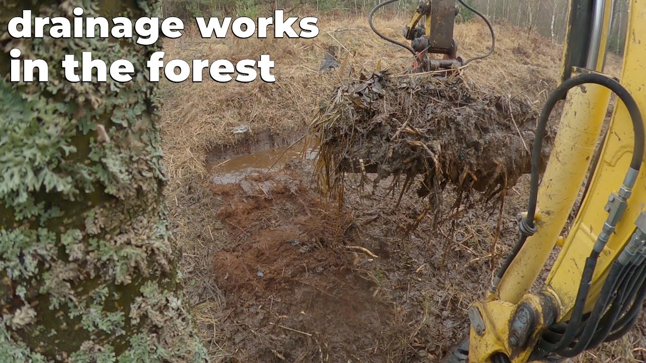 Another Day Of Desilting The Drainage Ditch With An Excavator - YouTube