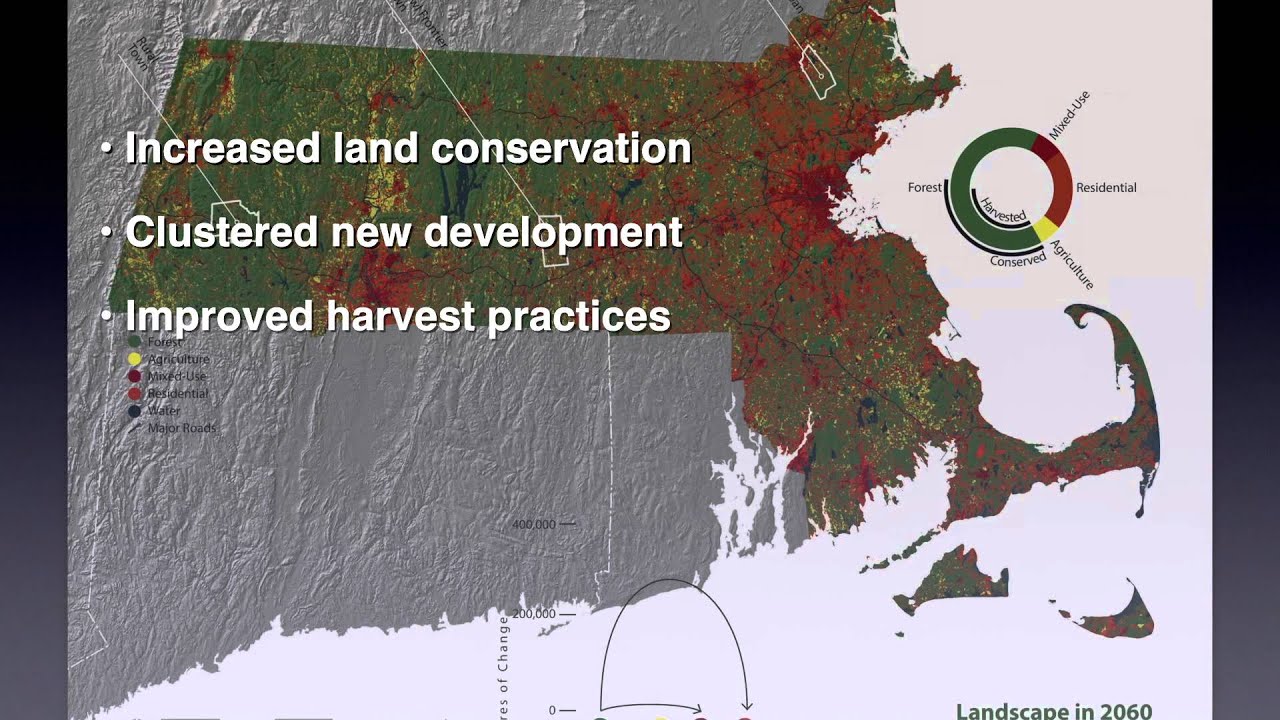 Harvard Forest Changes to the Land preview - YouTube