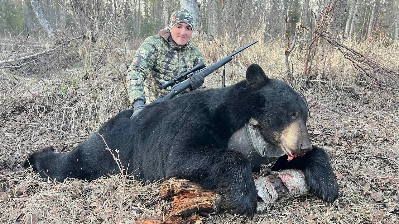 Hunting a 7FT Giant Black Bear! - YouTube