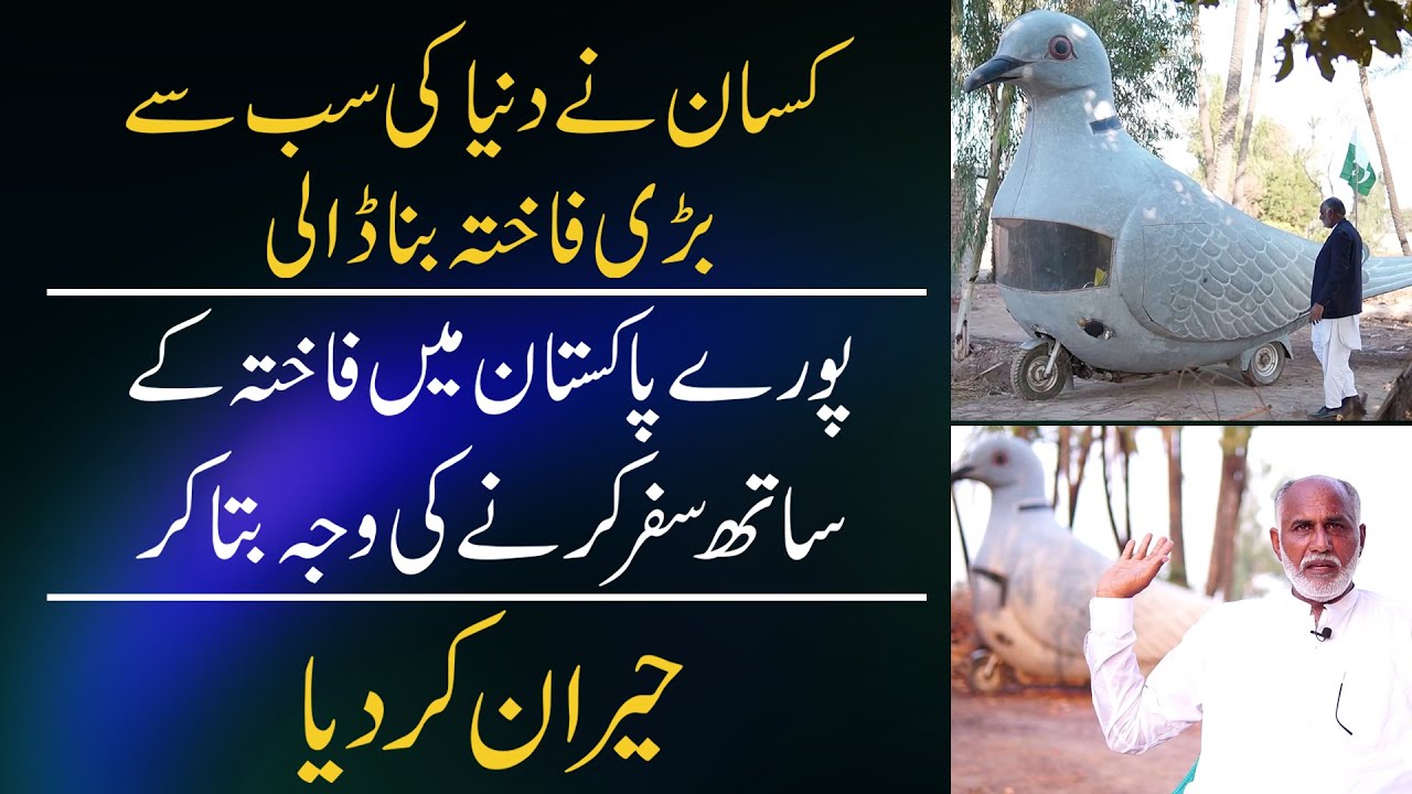 Farmer Built the World Largest Dove | Reason for Traveling with Dove ...