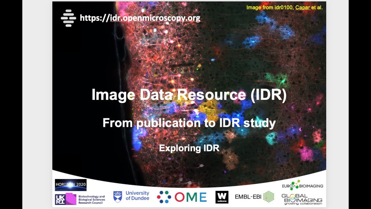 From publication to IDR study - YouTube