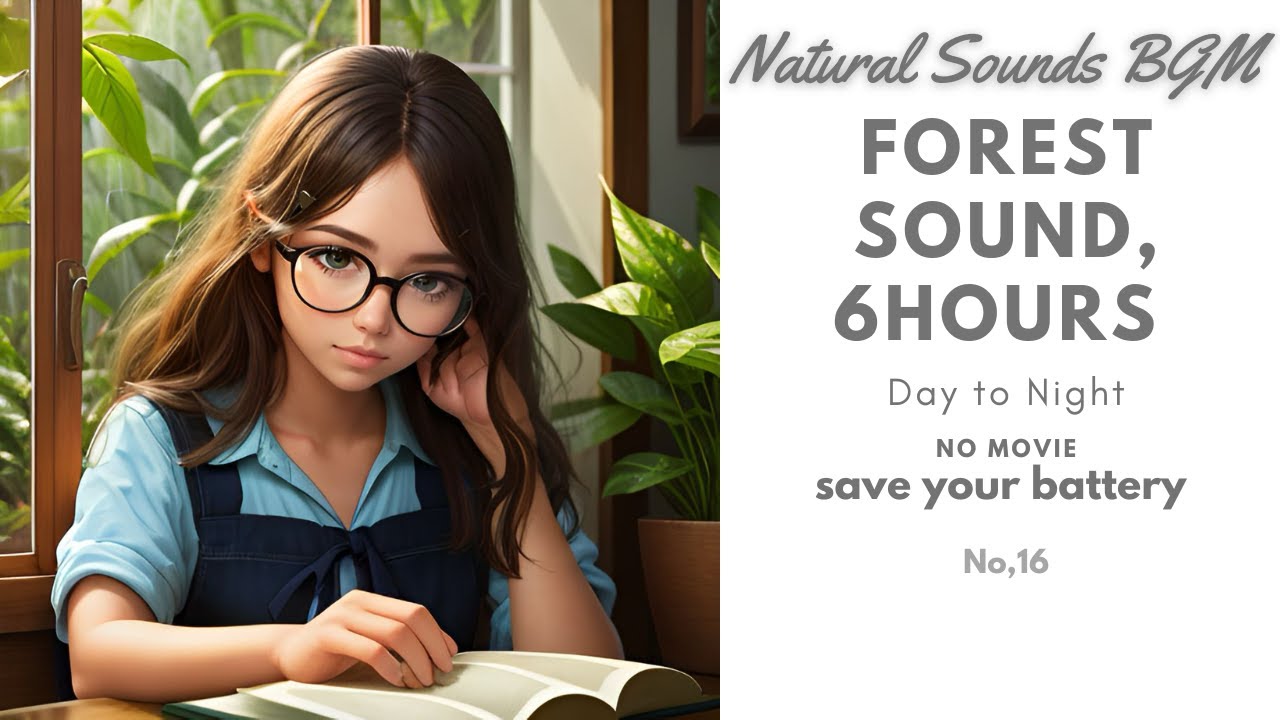Natural Sounds BGM.No,16.Forest, 6 Hours.Day to Night.For your sleep ...