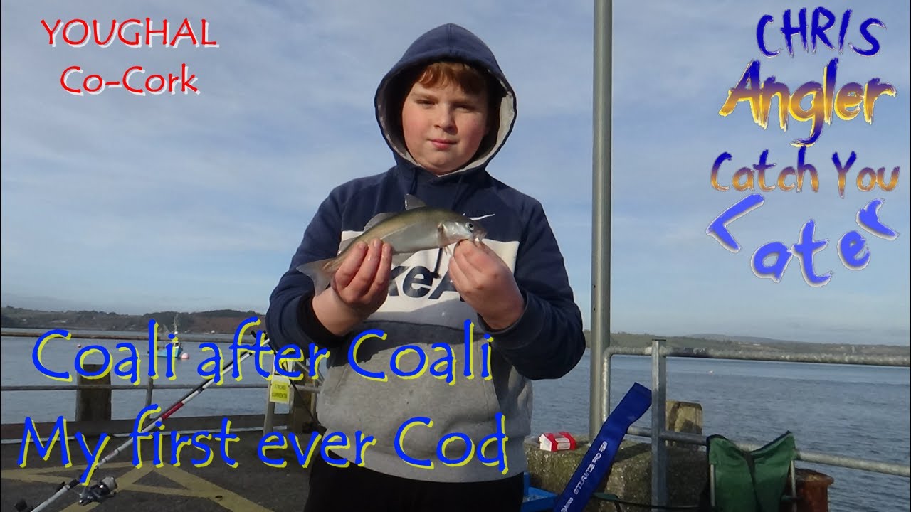 My first ever Cod, lots of coal-fish at Youghal Co-Cork Ireland - YouTube