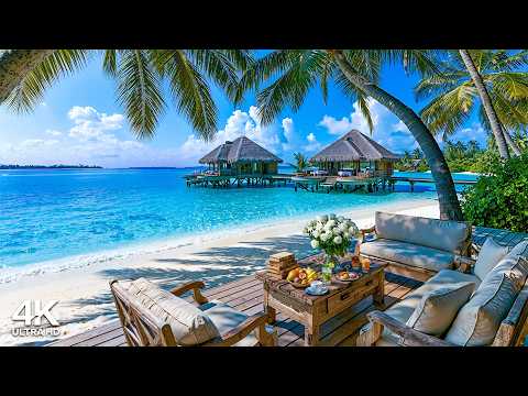 Tropical Morning Jazz 🌴 Summer Beach Ambience with Sweet Bossa Nova Guitar & Gentle Waves for Relax