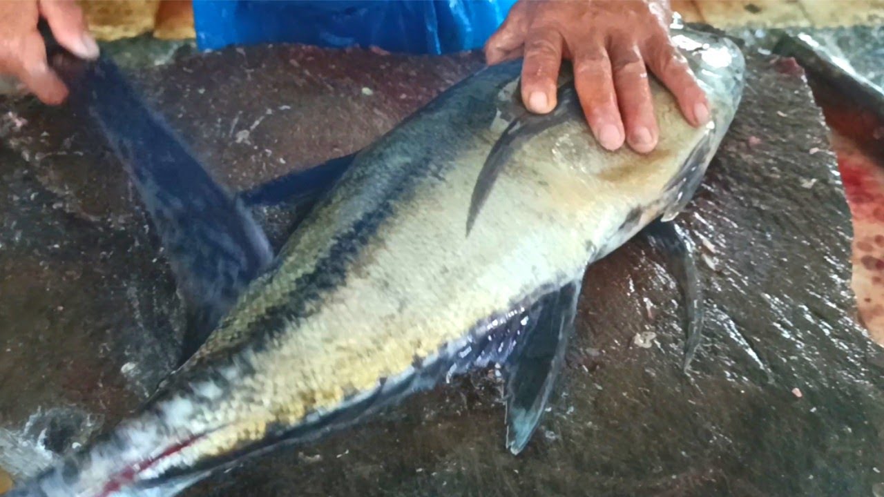AMAZING GIANT TREVALLY FISH CUTTING SKILLS MARKET TRADITIONAL FISH ...