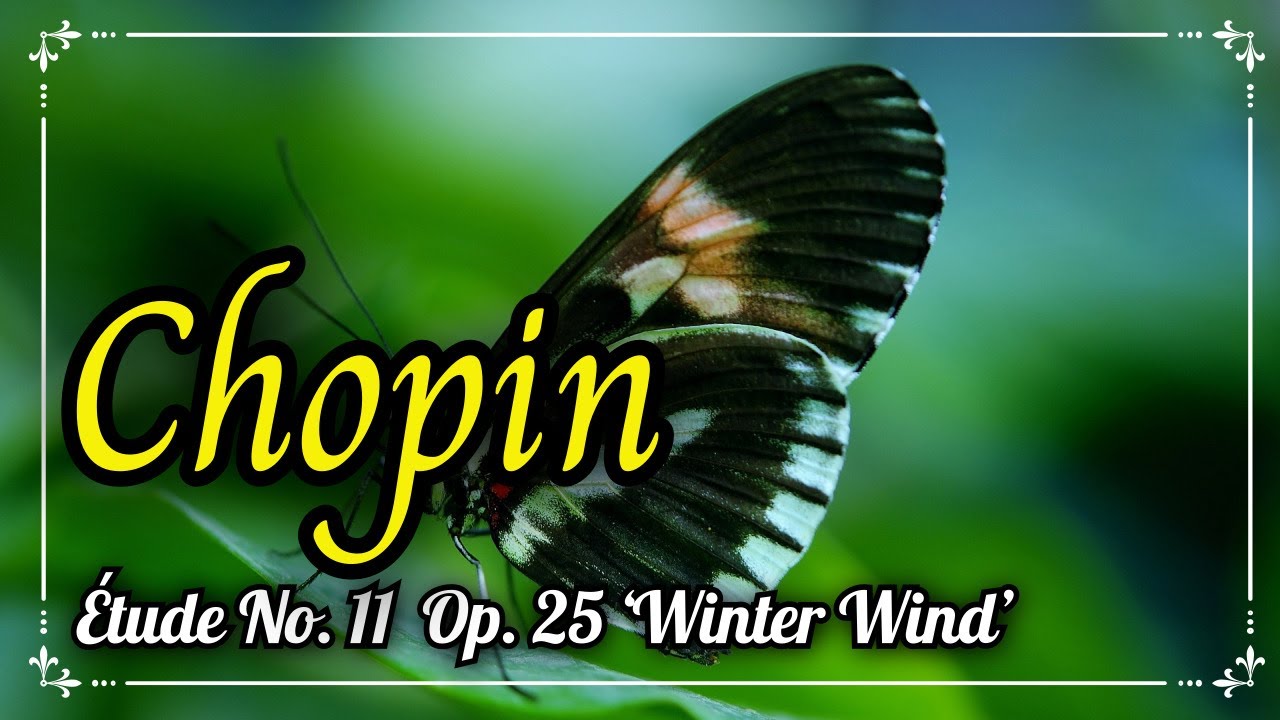 👒 Chopin: Étude No. 11 in A Minor, Op. 25 ‘Winter Wind’ - YouTube