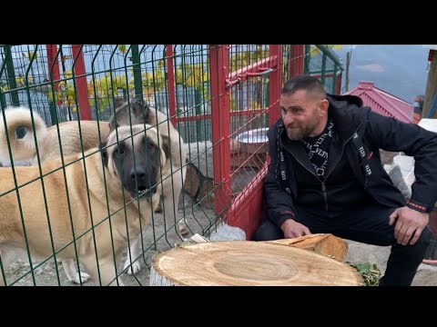 ERKAN YILDIRIM GELDİ ORTALIK KARIŞTI :))