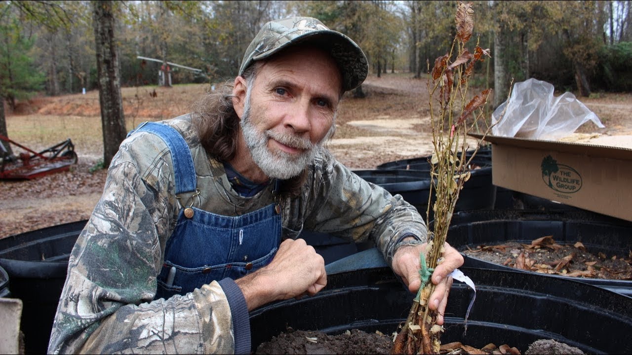 50 Nut Trees For the Homestead - YouTube
