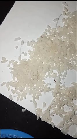 Easy Mandala Art With Raw Rice || mandala || art || mandalaart ...